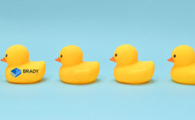 Bookkeeping is as easy as “Having your ducks in a row” – Brady ...